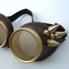 Brass Bee Goggles with Honeycomb Lenses